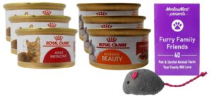 royal canin slices in gravy cat food 2 flavor 6 can sampler, (3) each: adult instinctive, intense beauty (3 ounces) - plus catnip toy and fun facts booklet bundle