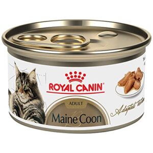 royal canin feline breed nutrition maine coon adult thin slices in gravy canned cat food, 3 oz can (24-count)