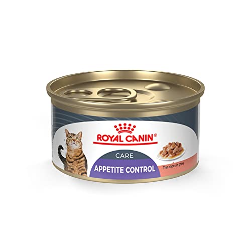 Royal Canin Feline Care Nutrition Appetite Control Thin Slices in Gravy Wet Cat Food, 3 oz can (24-count)