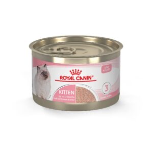 bundle of royal canin feline health nutrition kitten thin slices in gravy canned cat food, 3 oz can, pack of 24 + royal canin feline health nutrition kitten canned cat food 24 count (pack of 1)