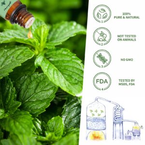 yethious Peppermint Essential Oil 10ML Pure Essential Oil for Diffuser, Fragrance, Soap Candle Making Peppermint Aromatherapy Oil