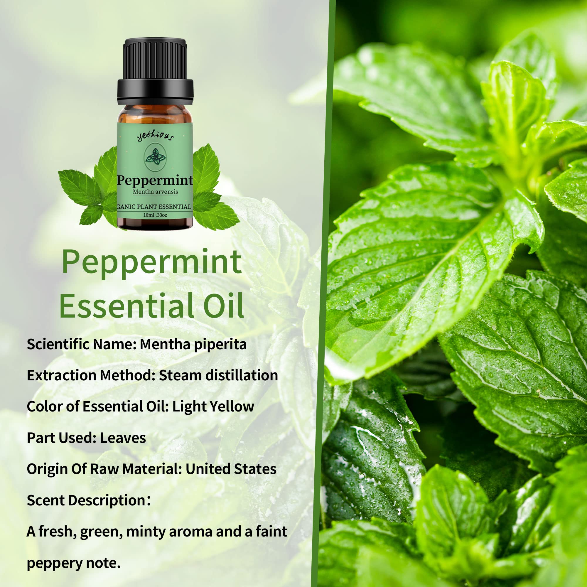 yethious Peppermint Essential Oil 10ML Pure Essential Oil for Diffuser, Fragrance, Soap Candle Making Peppermint Aromatherapy Oil