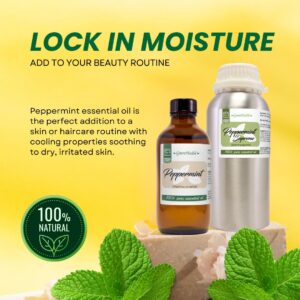 1 fl oz Peppermint Essential Oil (Mentha Piperita) (100% Pure & Uncut) - GreenHealth