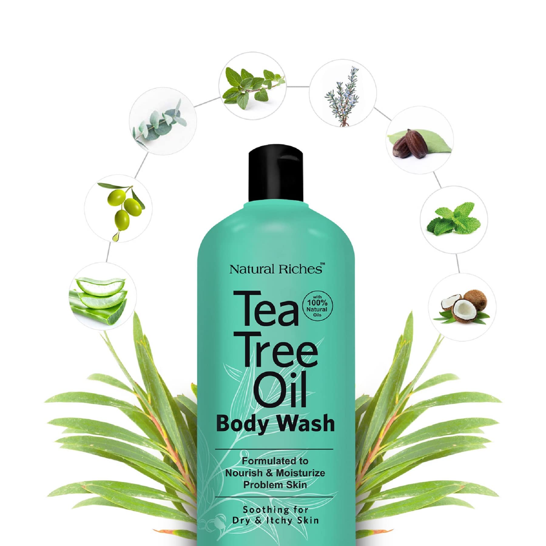 Natural Riches Tea Tree Oil Body Wash, 2x16 fl oz - Soothing, Calming, and Hydrating for Normal, Combination, Sensitive, Oily, and Dry sensitive skin bodywash