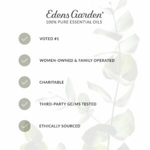 Edens Garden Vetiver Essential Oil, 100% Pure Therapeutic Grade (Undiluted Natural/Homeopathic Aromatherapy Scented Essential Oil Singles) 10 ml