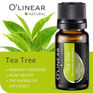 10 ml Tea Tree Essential Oil Pure Aromatherapy, Oil for Diffusers for Home, Candle Making & Soap Craft, 0.33 Fl Oz 100% Natural Melaleuca Oil Aroma Drops for Humidifier & Air Tea Tree Aroma Therapy