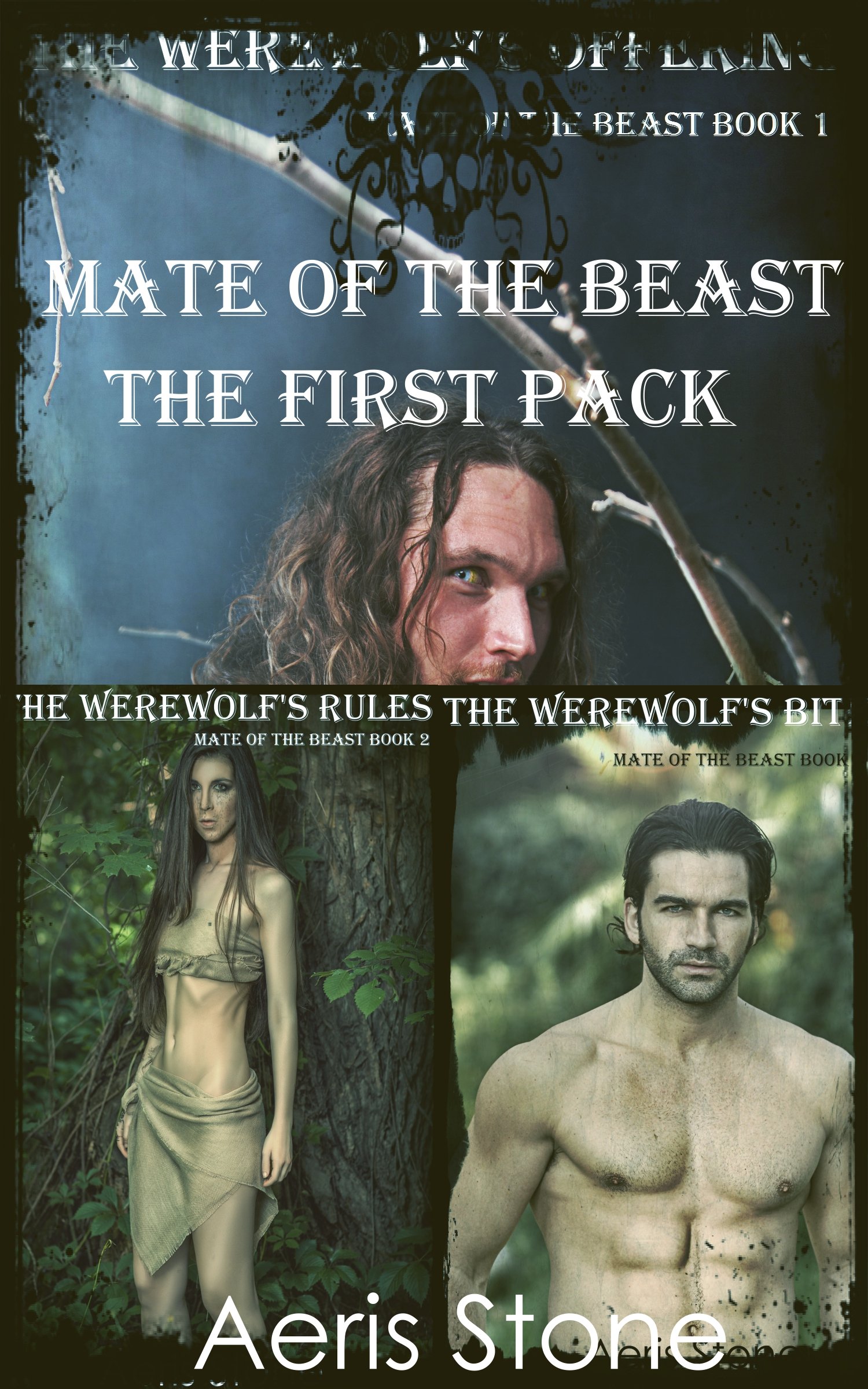 Mate Of The Beast - The First Pack