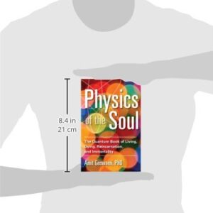 Physics of the Soul: The Quantum Book of Living, Dying, Reincarnation, and Immortality