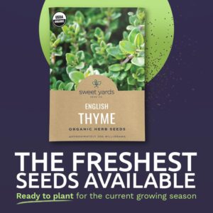 Organic English Thyme Seeds – Seed Packet of Over 8000 Open Pollinated Non-GMO Seeds – Sweet Yards Seed Co.