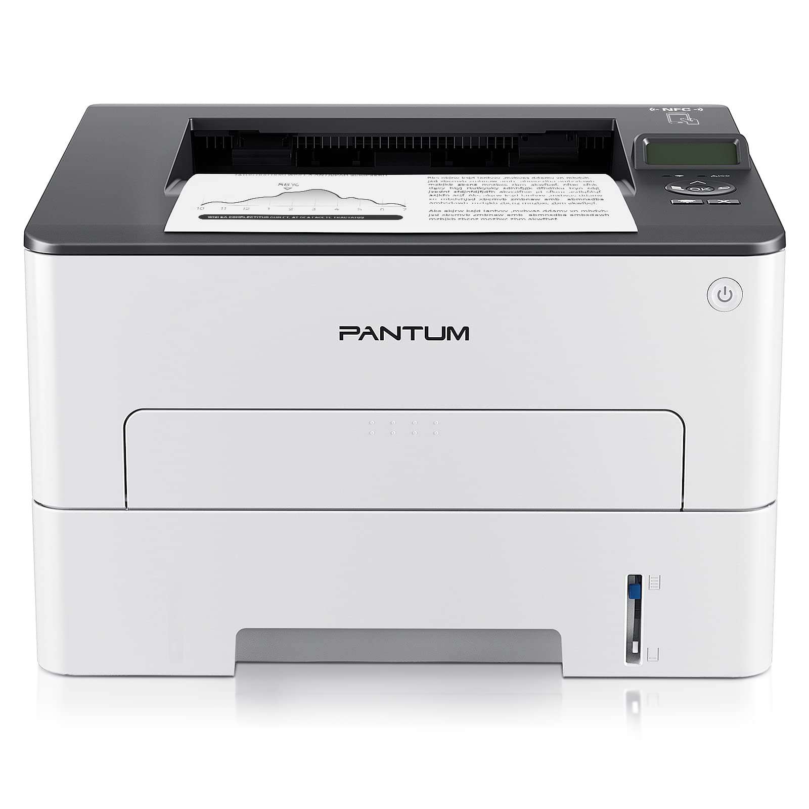 Pantum P3012DW Monochrome Laser Printer, Wireless Printing & Auto Two-Sided Printing for Home and Small Office Use (V4G09B)