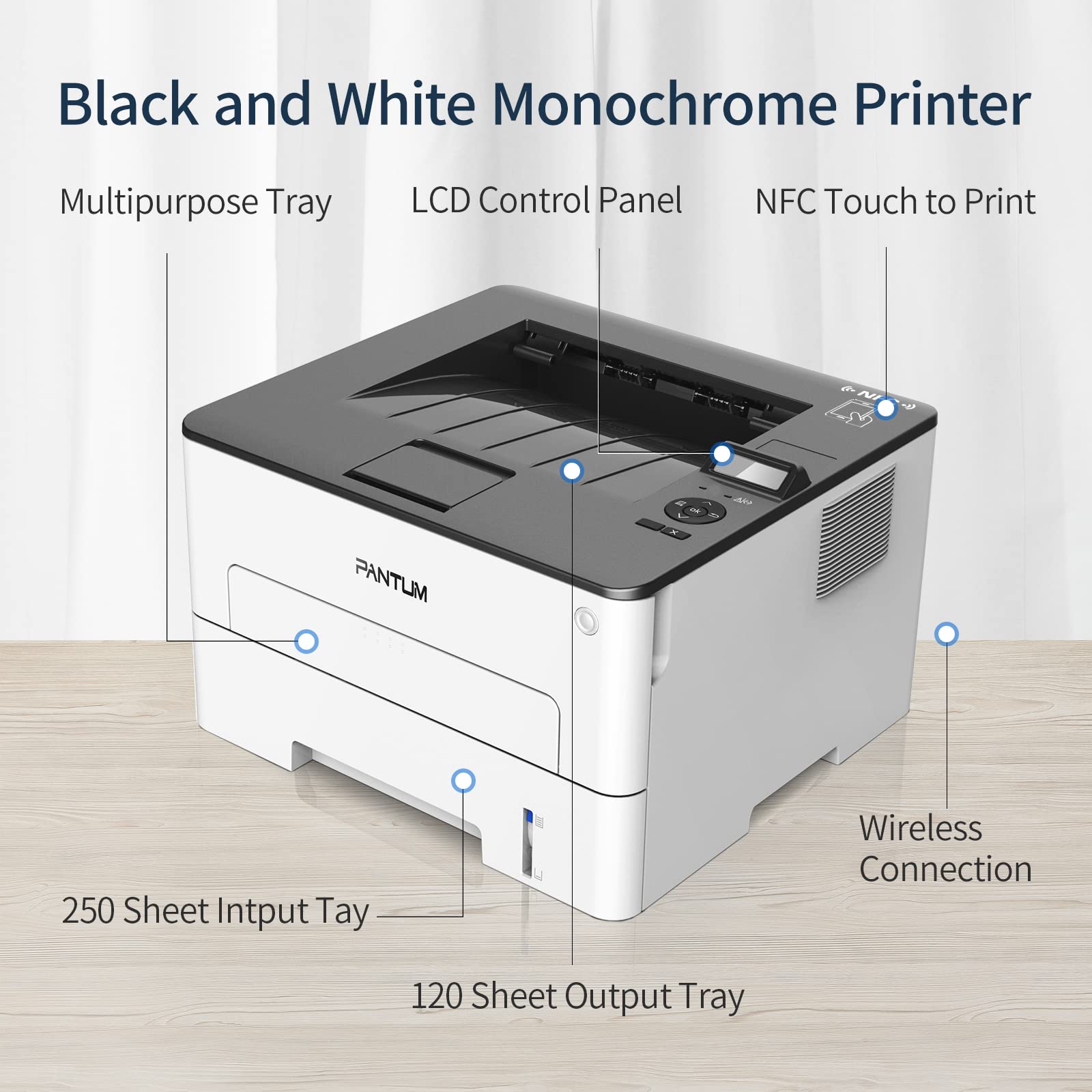 Pantum P3012DW Monochrome Laser Printer, Wireless Printing & Auto Two-Sided Printing for Home and Small Office Use (V4G09B)