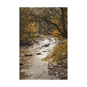 trademark fine art, 16x24 yellow maples along the river by kurt shaffer photographs