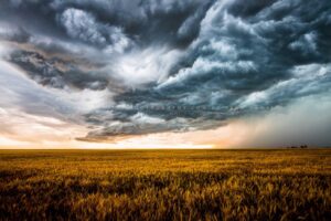 thunderstorm photography print (not framed) picture of storm clouds churning over amber wheat field on spring day in colorado weather wall art western decor (24" x 36")