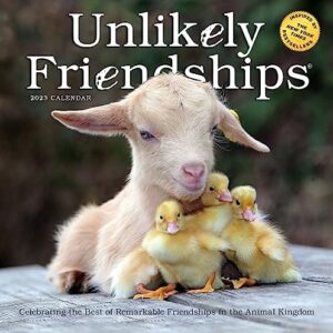 Unlikely Friendships Wall Calendar 2023: Heartwarming Photographs Paired with Stories of Interspecies Friendships