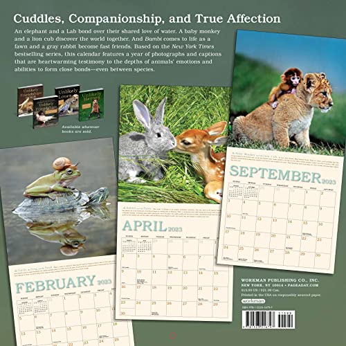 Unlikely Friendships Wall Calendar 2023: Heartwarming Photographs Paired with Stories of Interspecies Friendships