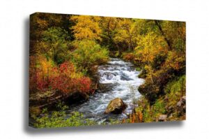 black hills canvas wall art (ready to hang) gallery wrap of fall foliage surrounding creek on autumn day in spearfish canyon south dakota western photography nature decor (.75, 24" x 36")