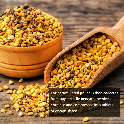 NY Spice Shop Bee Pollen Granules - 1 lbs (Pound) Fresh Superfood Packed with Proteins, Vitamins & Minerals - Pure, & 100% Natural Polen de Abeja - Fresh Harvest Bee Pollen Granules