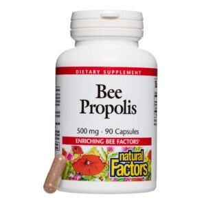 natural factors, bee propolis extract 500 mg, supports a healthy immune system, 90 capsules (90 servings)