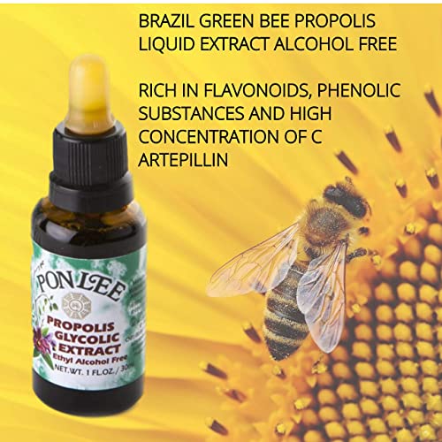 Pon Lee Brazil Green Bee Propolis Liquid Extract No Alcohol 30ML 1 Pack