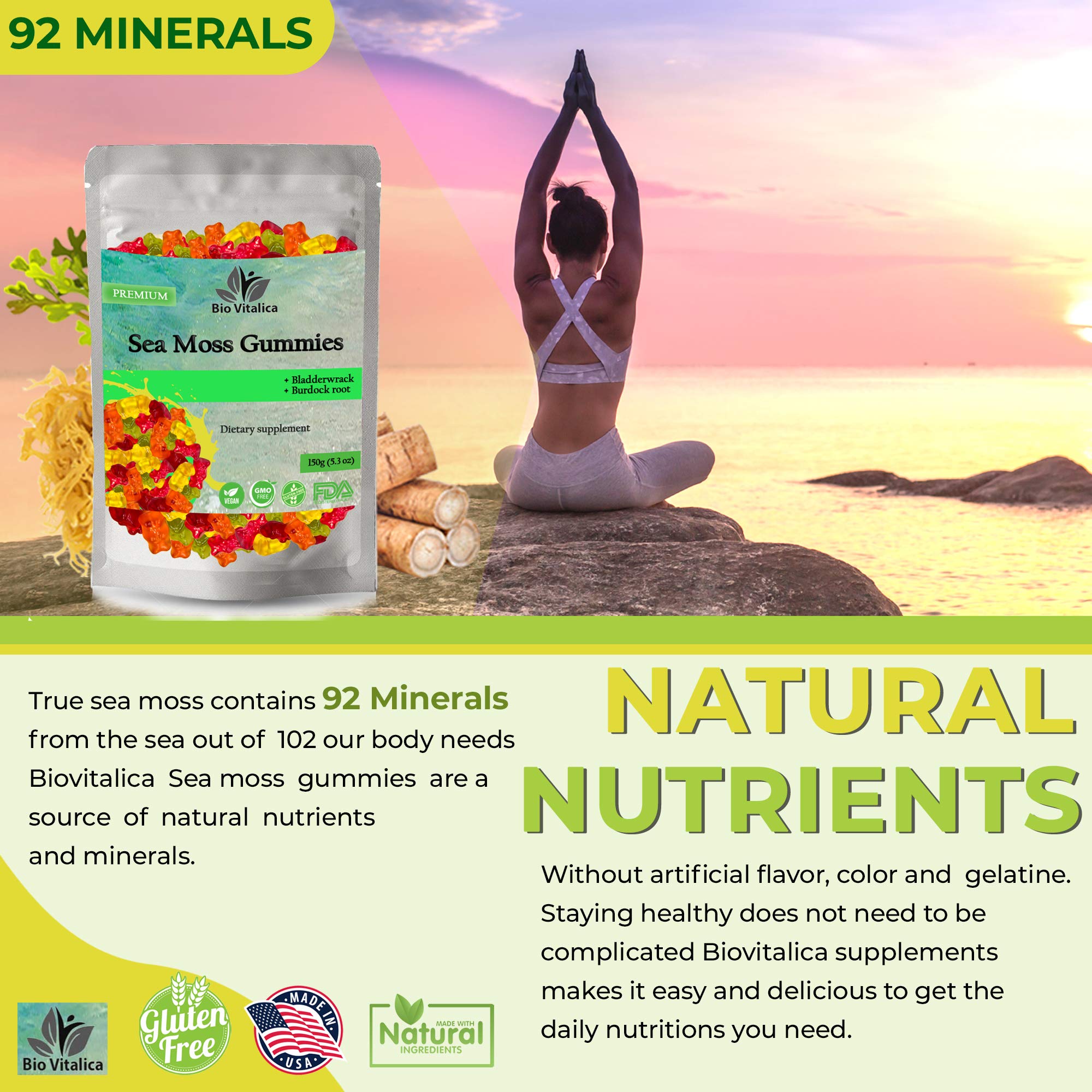 Sea Moss Gummies - Irish sea Moss raw Organic, Bladderwrack, Burdock Root. Contains Sea Moss Gel and Powder. Superfoods for Vegan, Keto and Dr Sebi Diet. Immune Boosting (1, ORIGINAL)