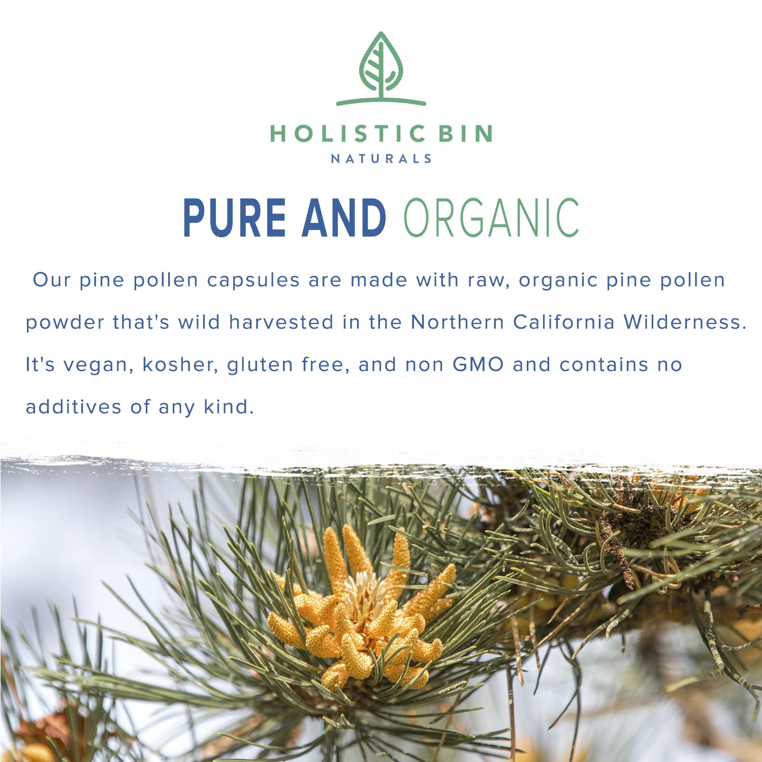 Holistic Bin Pine Pollen Capsules 500mg Made w/ 100% Pure Pharmaceutical Grade, Wild Harvested California Pine Pollen Powder | Organic, Non GMO, No Fillers | 30 Day Supply (40 Capsules)