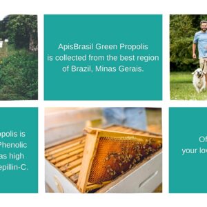 ApisBrasil - Brazilian Green Bee Propolis Capsule - 900mg/ Daily Per 3 Softgels Capsules- Natural Immune Support - 90 Count (Pack of 1)