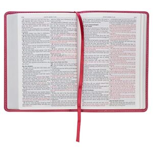 KJV Holy Bible, Compact Faux Leather Red Letter Edition - Ribbon Marker, King James Version, Pink