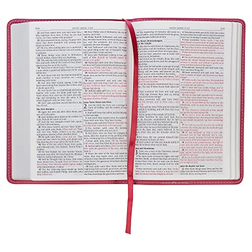 KJV Holy Bible, Compact Faux Leather Red Letter Edition - Ribbon Marker, King James Version, Pink