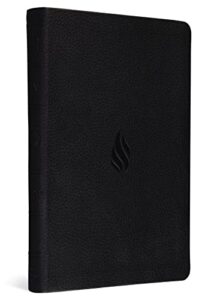 esv premium gift bible (trutone, midnight, flame design)