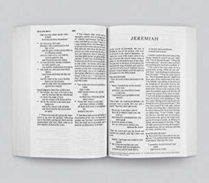 ESV Economy Bible, Large Print