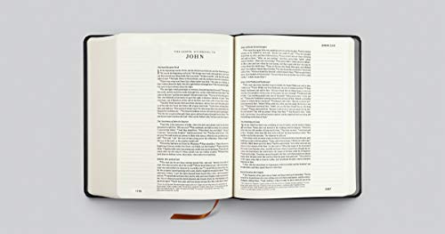 ESV Single Column Journaling Bible, Artist Series (Hardcover, Joshua Noom, The Lion and the Lamb)