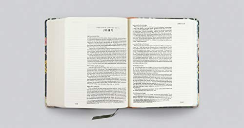 ESV Single Column Journaling Bible, Artist Series (Hardcover, Ruth Chou Simons, Be Transformed)