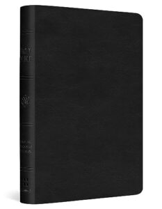 esv value compact bible (trutone, black)