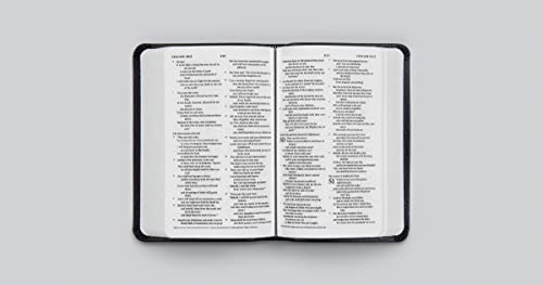 ESV Value Compact Bible (TruTone, Black)