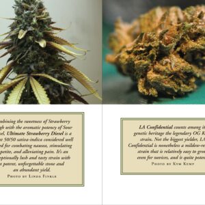 The Little Black Book of Marijuana: The Essential Guide to the World of Cannabis (3rd Edition)