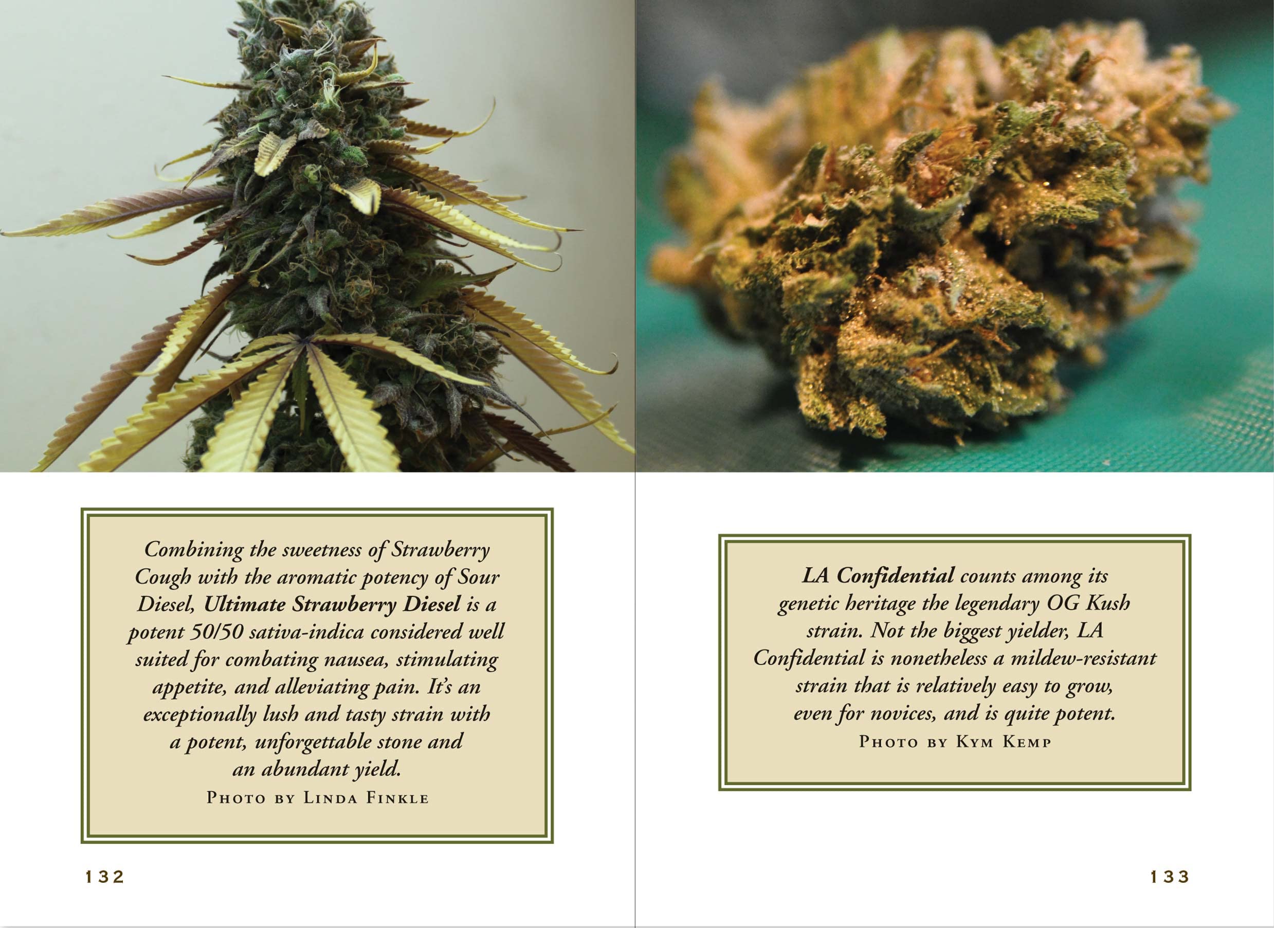 The Little Black Book of Marijuana: The Essential Guide to the World of Cannabis (3rd Edition)