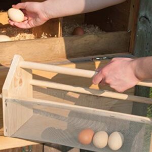 Chicken DIY: 20 Fun-to-Make Projects for Happy and Healthy Chickens (CompanionHouse Books) Coops, Ramps, Roosts, Nest Boxes, Feeders, Waterers, and More, with Materials Lists; plus Bonus Egg Recipes