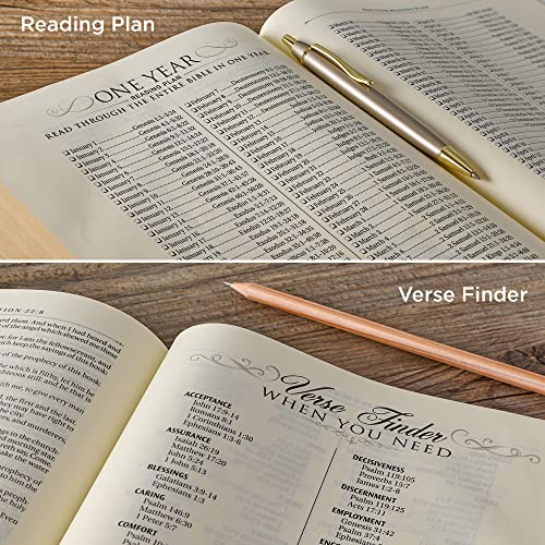 KJV Holy Bible, Note-taking Bible, Faux Leather Hardcover - King James Version, Brown/Pink