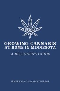 growing cannabis at home in minnesota: a beginner's guide