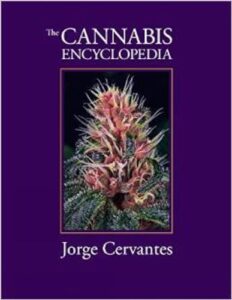 the cannabis encyclopedia: the definitive guide to cultivation & consumption of medical marijuana