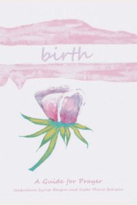 birth: a guide for prayer (take & receive series)