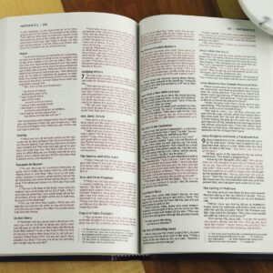 NIV, Gift and Award Bible, Leather-Look, Blue, Red Letter, Comfort Print