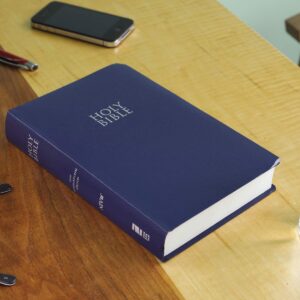 NIV, Gift and Award Bible, Leather-Look, Blue, Red Letter, Comfort Print