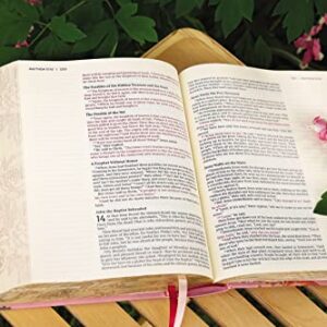 NIV, Artisan Collection Bible, Cloth over Board, Pink Floral, Designed Edges under Gilding, Red Letter, Comfort Print