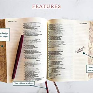 NIV, Artisan Collection Bible, Cloth over Board, Pink Floral, Designed Edges under Gilding, Red Letter, Comfort Print