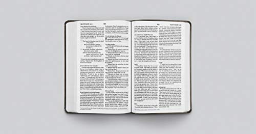 ESV Large Print Value Thinline Bible (TruTone, Olive, Celtic Cross Design)