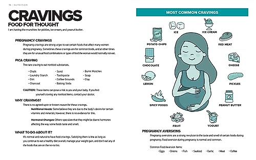 The Simplest Pregnancy Book in the World: The Illustrated, Grab-and-Do Guide for a Healthy, Happy Pregnancy and Childbirth