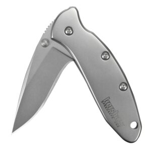 kershaw chive pocket knife, 1.9" 420hc steel blade with 410 stainless steel handle, assisted opening with flipper, single-position pocketclip, small edc