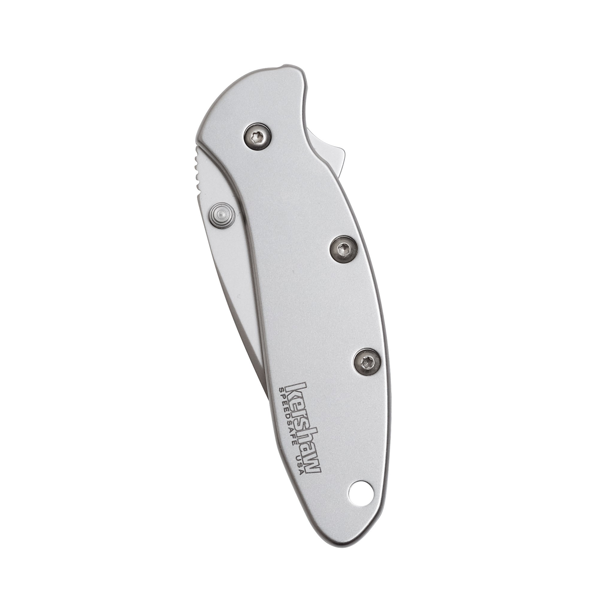 Kershaw Chive Pocket Knife, 1.9" 420HC Steel Blade with 410 Stainless Steel Handle, Assisted Opening with Flipper, Single-Position Pocketclip, Small EDC