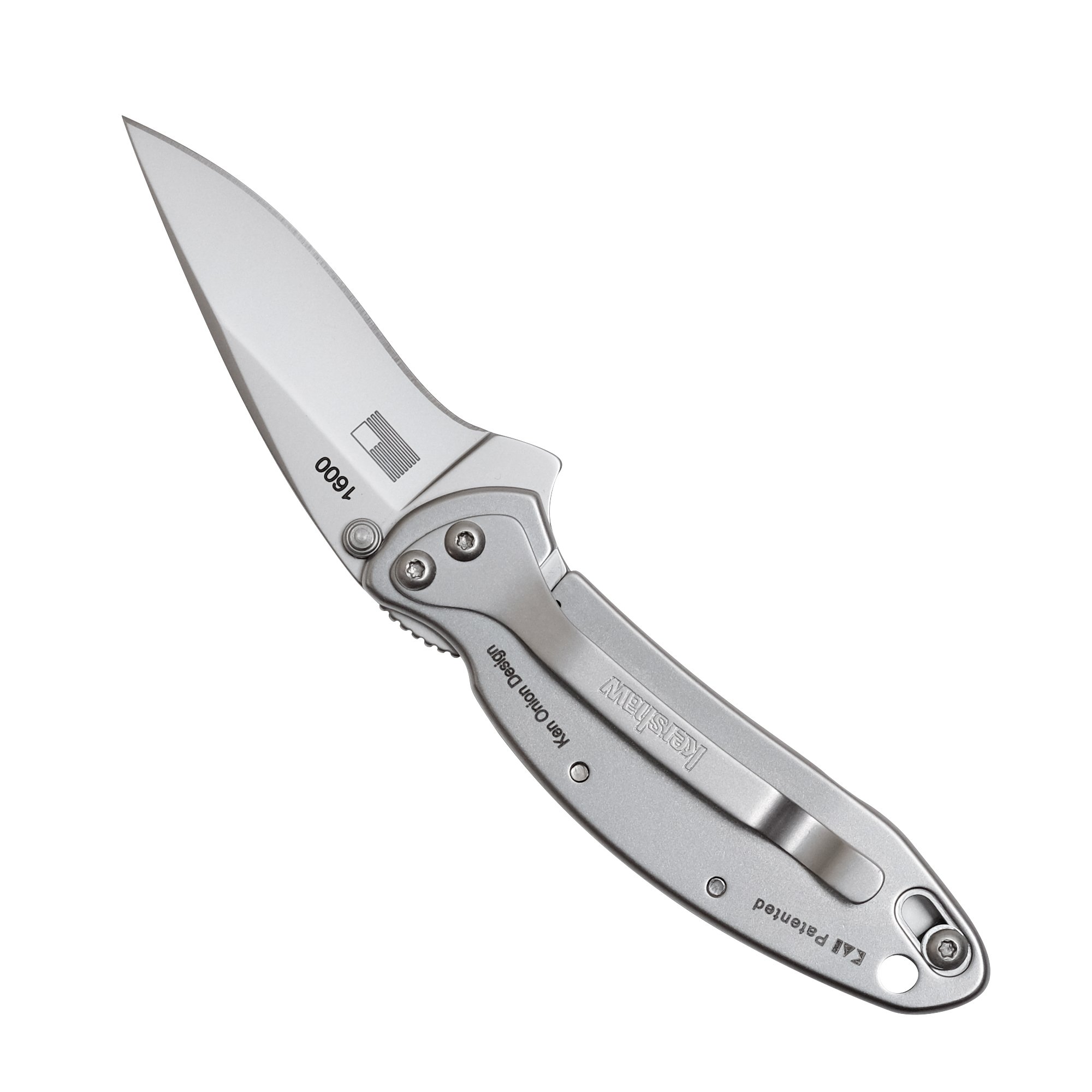 Kershaw Chive Pocket Knife, 1.9" 420HC Steel Blade with 410 Stainless Steel Handle, Assisted Opening with Flipper, Single-Position Pocketclip, Small EDC